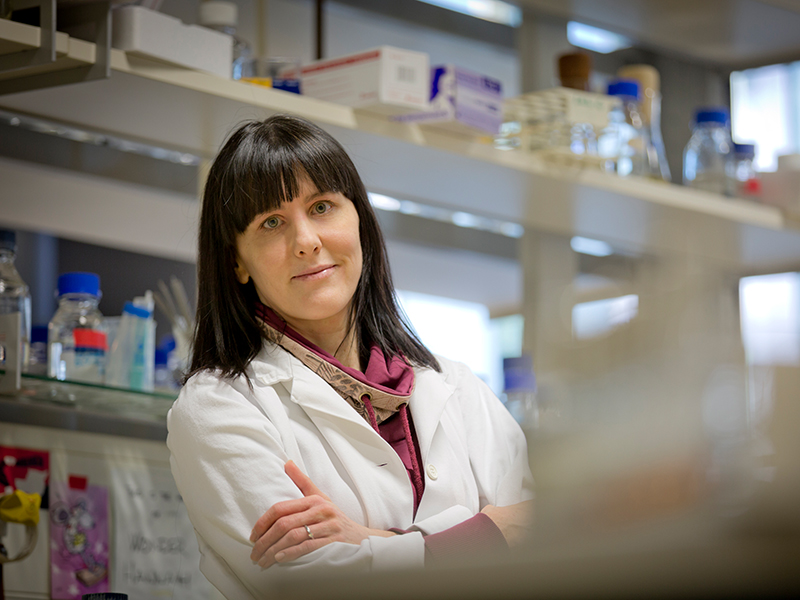 Giftmischer - BioTechMed-Graz